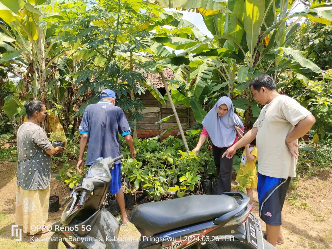 Upaya Pekon Waya Krui dalam Meningkatkan Ketahanan Pangan dan ... Upaya Pekon Waya Krui dalam Meningkatkan Ketahanan Pangan dan ...